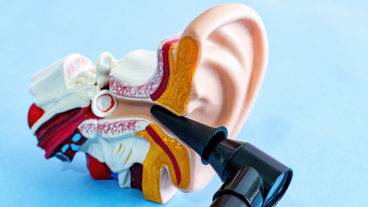 Standing Strong: The Inner Ear's Incredible Role - Wellbeings